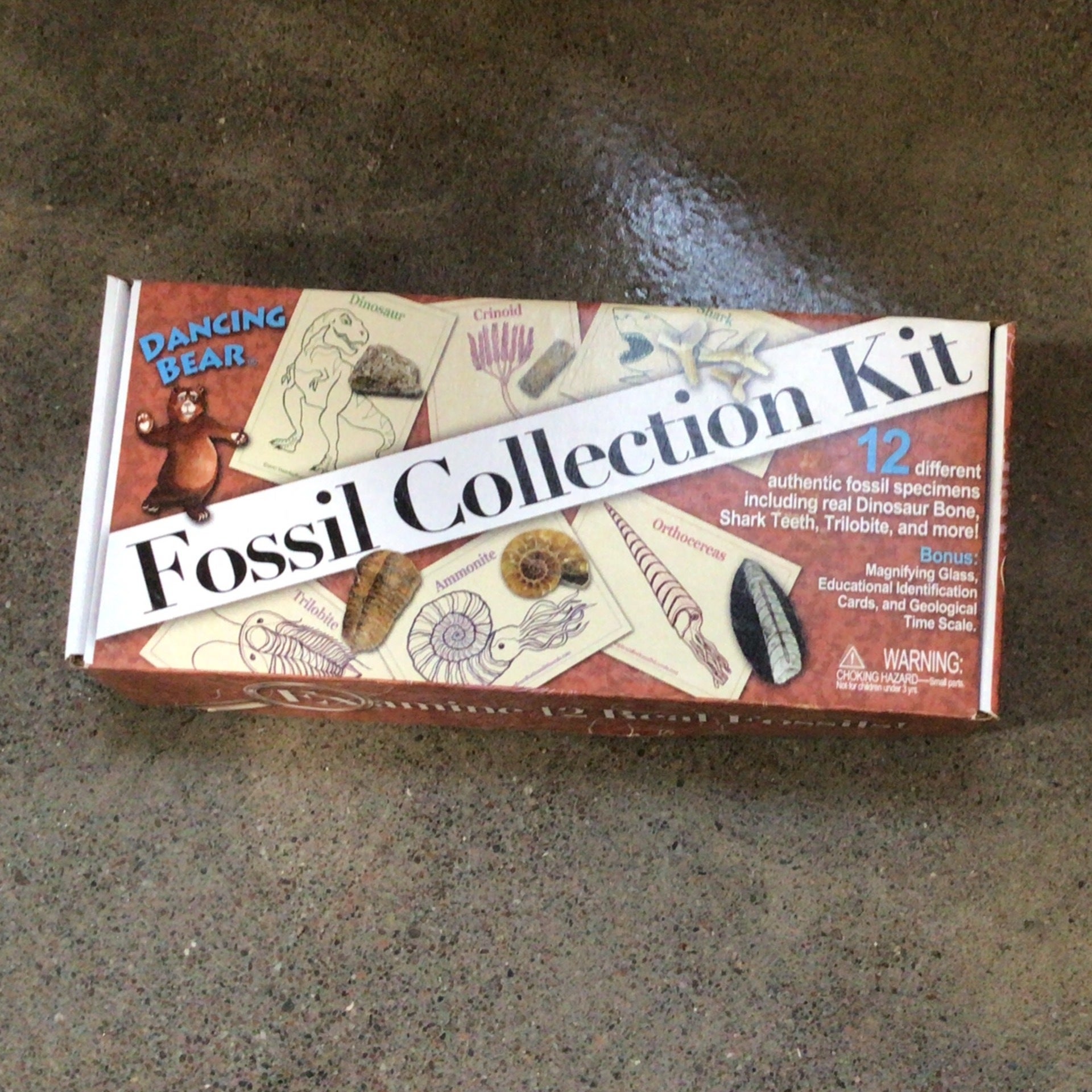 Fossil Collection Kit | KG Fireworks Warehouse - South Range, Wisconsin